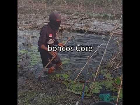 Broncos core #core #mancing #ikan #lucu #masukberanda #viral #shorts