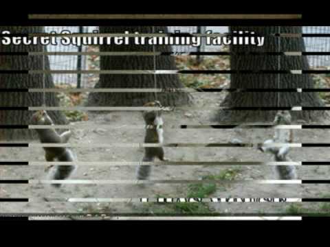 Funniest Slideshow ever