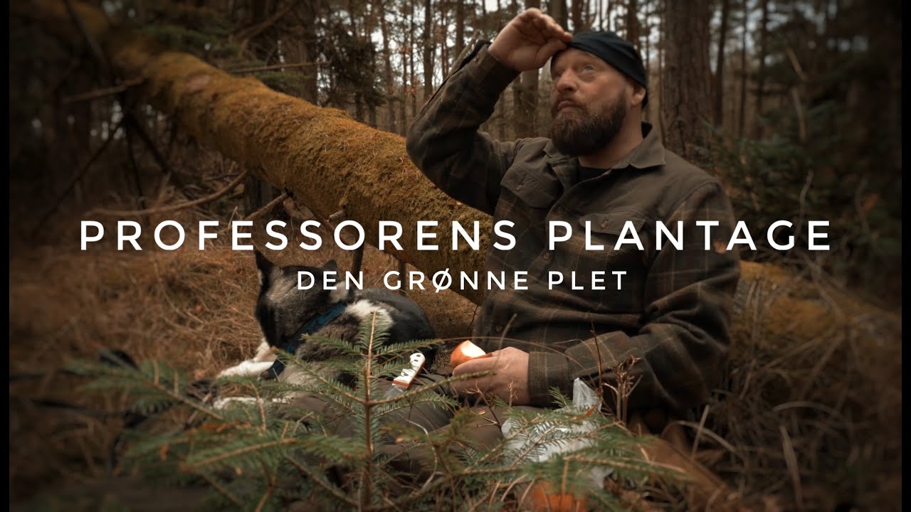 Professorens plantage ved Sæby - YouTube