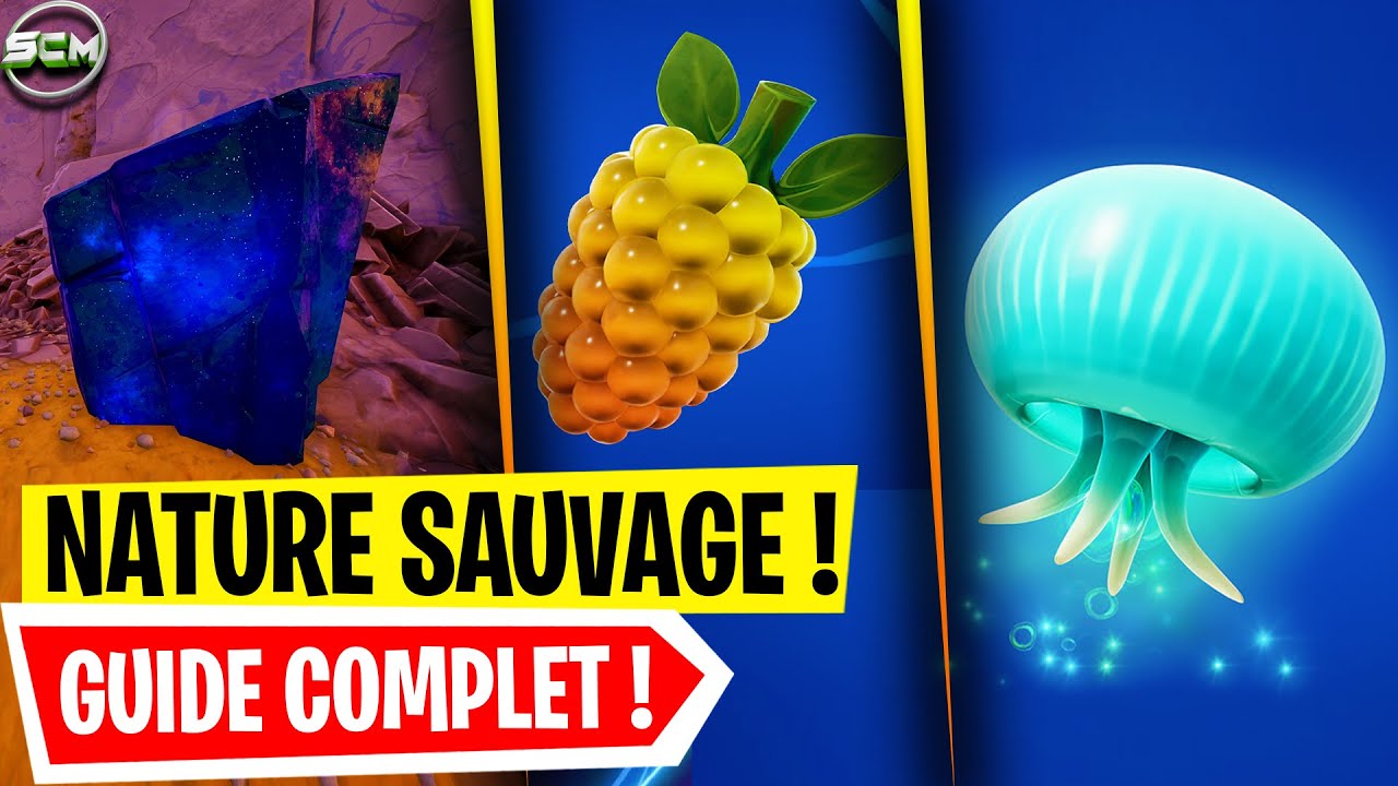 GUIDE COMPLET DES DÉFIS QUÊTE NATURE SAUVAGE FORTNITE CHAPITRE 4, TUTO ...