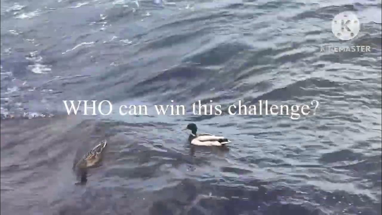 Duck Challenge! Who will win this challenge? - YouTube