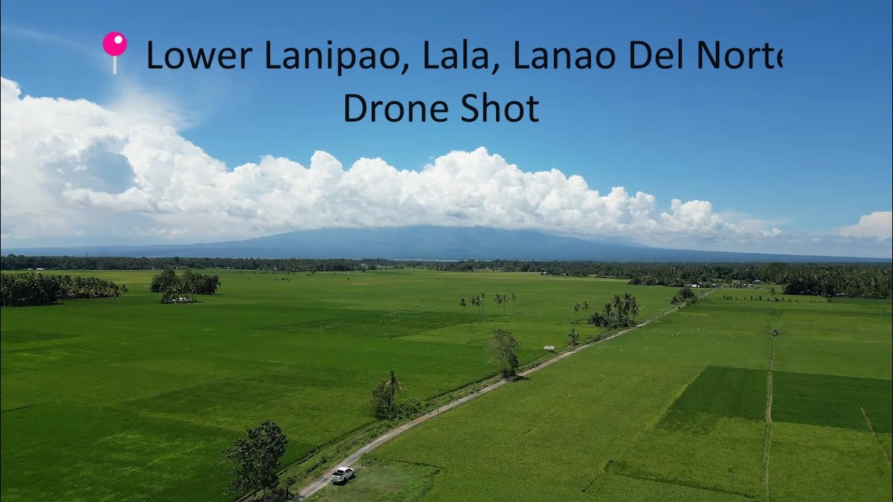 Rice fields Drone Shots of Lower Lanipao, Lala, Lanao del Norte (IT'S A ...