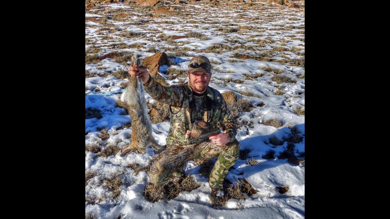 Long Range Rabbit Pistol Hunting - YouTube
