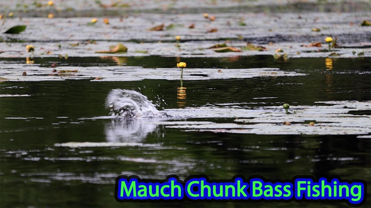 Bass Fishing Mauch Chunk (Topwater Explosions!) - YouTube