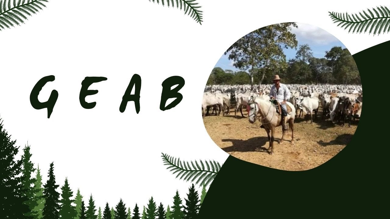 PRESENTACION COMPLETA GEAB - YouTube