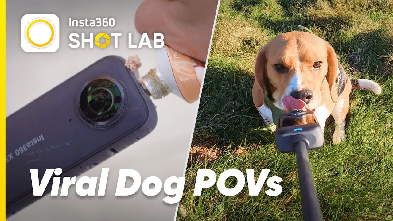 Insta360 X3 - How To Make Viral #DogMode Videos (ft. Gregfilms) - YouTube