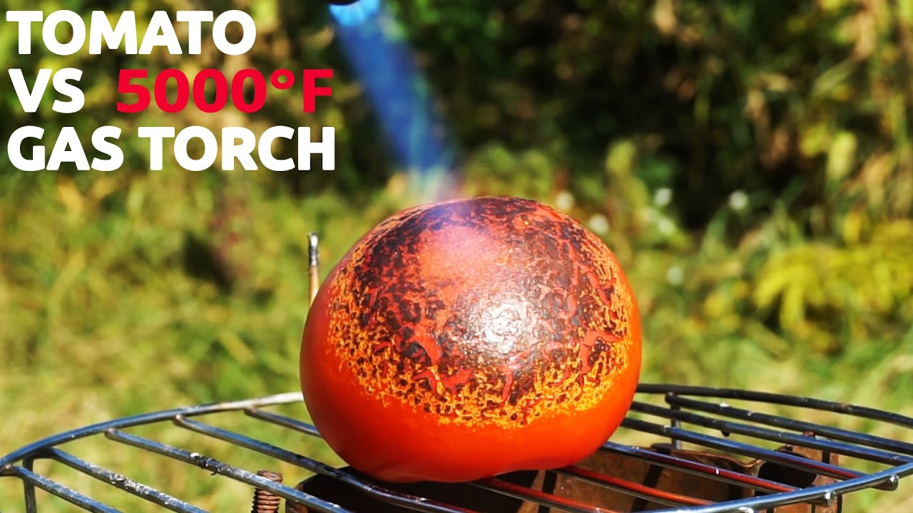 TOMATO vs GAS TORCH - YouTube