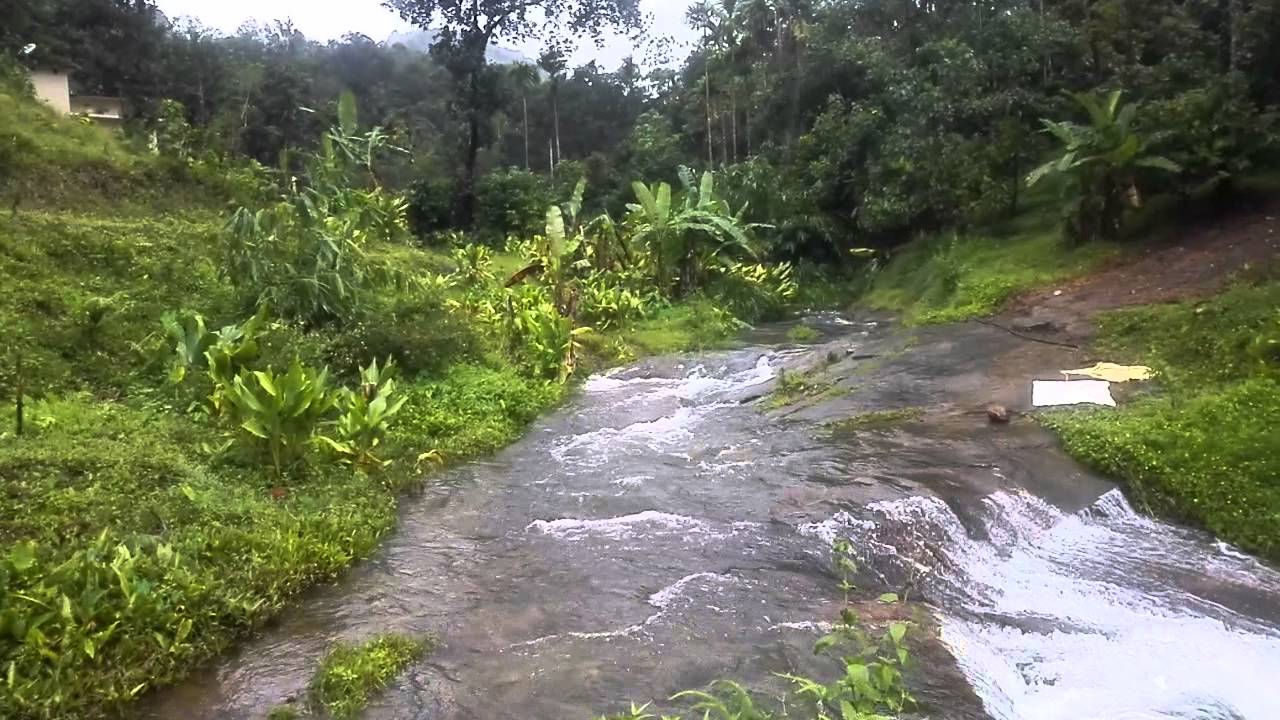 Mankulam waterfall.thalumkandam - YouTube