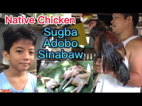 Ang Sarap ng #NATIVE CHICKEN 🐓Adobo/Sugba/Sinabaw|| Kethoy Channel ...