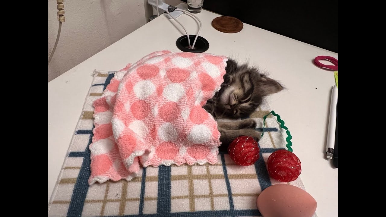 Study with Siya (50 min study, 10 min break) - YouTube