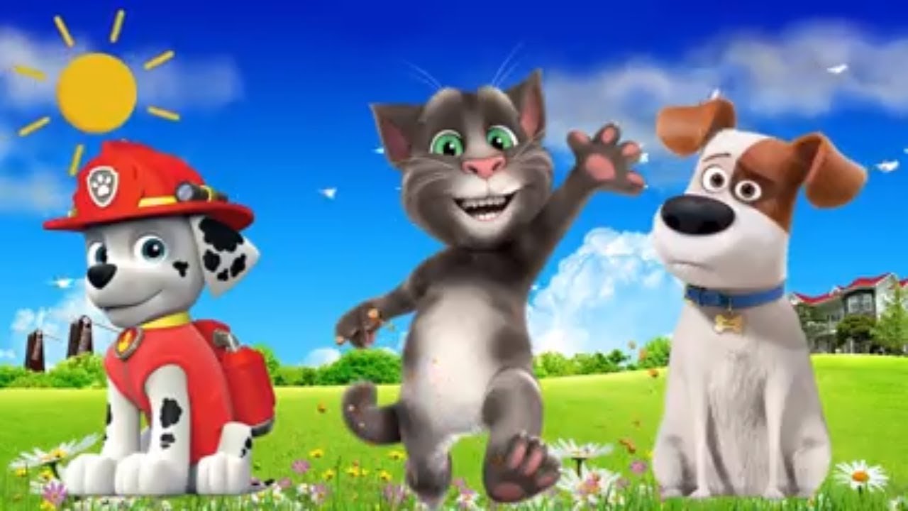 Paw Patrol Talking Tom In Real Life Wrong Heads Learn Colors Finger ...