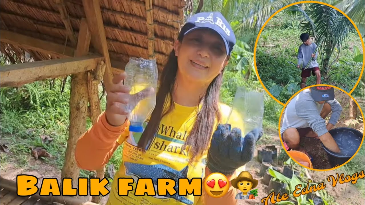 PATABA SA HALAMAN🌿 - YouTube