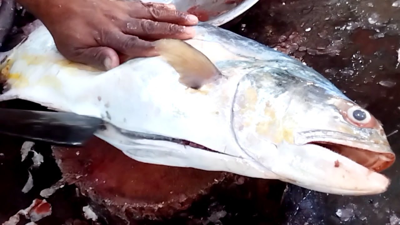 New style fish cutting Queen Tuna fish cutting skill skin out fish ...