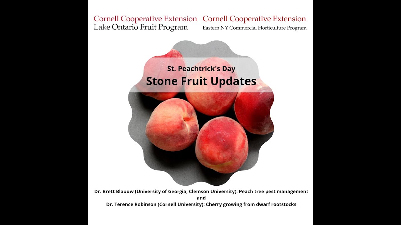 Using Mating Disruption and Entomopathogenic Nematodes for Peach Tree ...