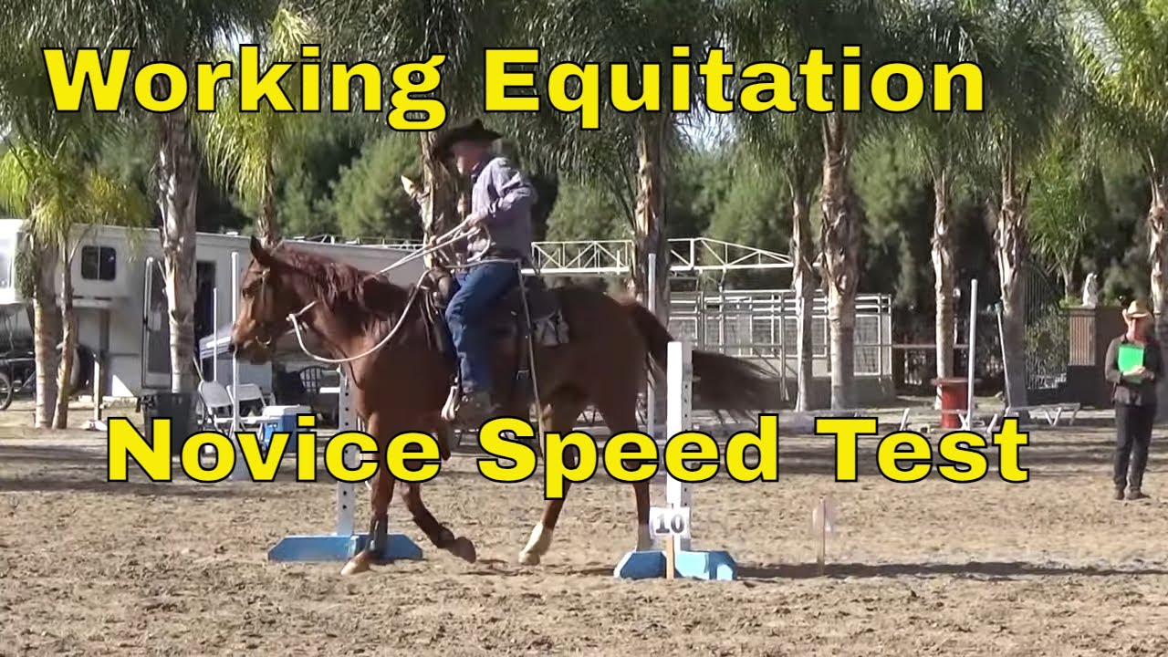 My First Working Equitation Novice Speed Test - YouTube