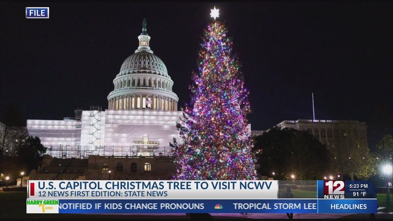 U.S. Capitol Christmas Tree to visit NCWV - YouTube