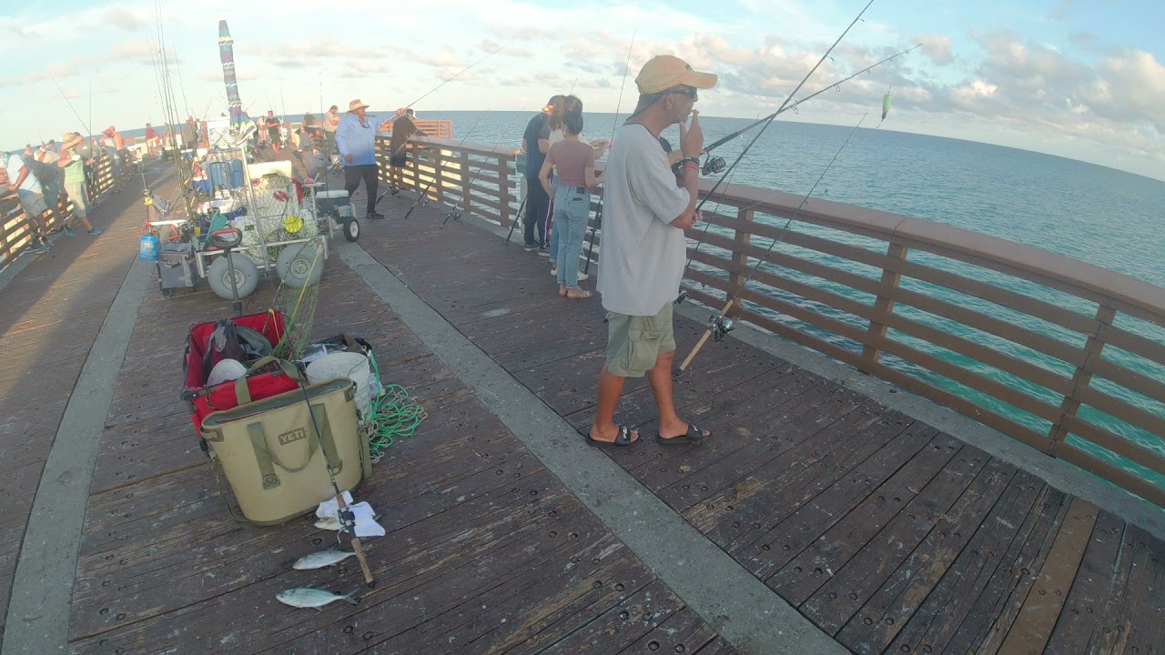 Juno Beach Fishing Pier: Snook, Mackerel, Barracuda, Sharks, Tarpon ...