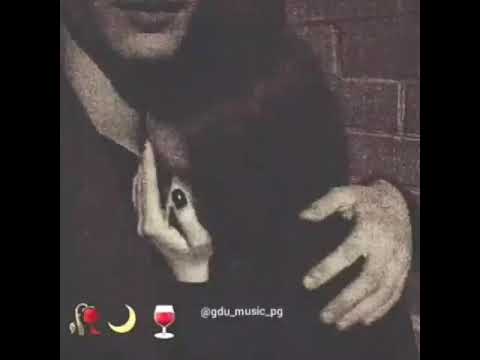 Whatsapp üçün status