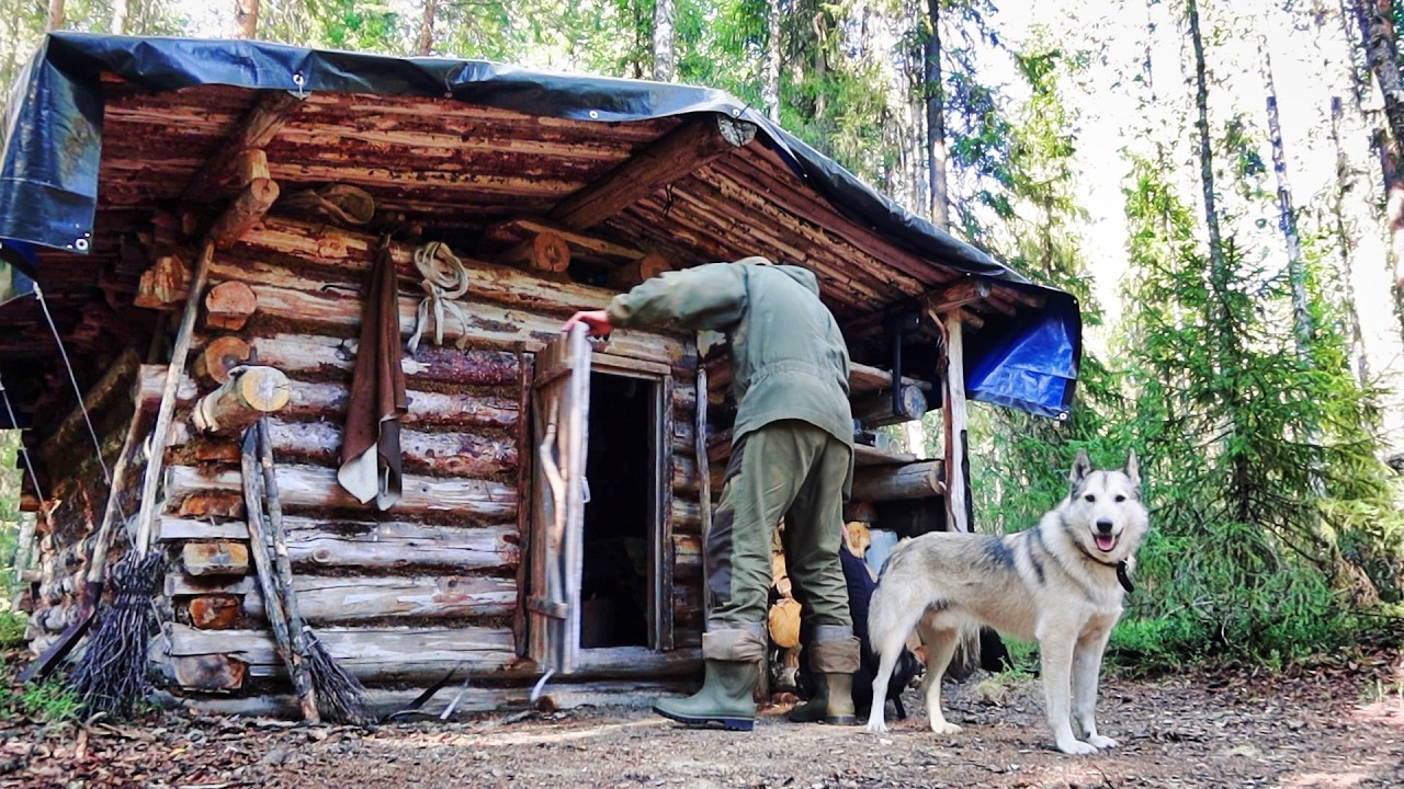 Off-grid living in a homemade cabin in the woods - YouTube