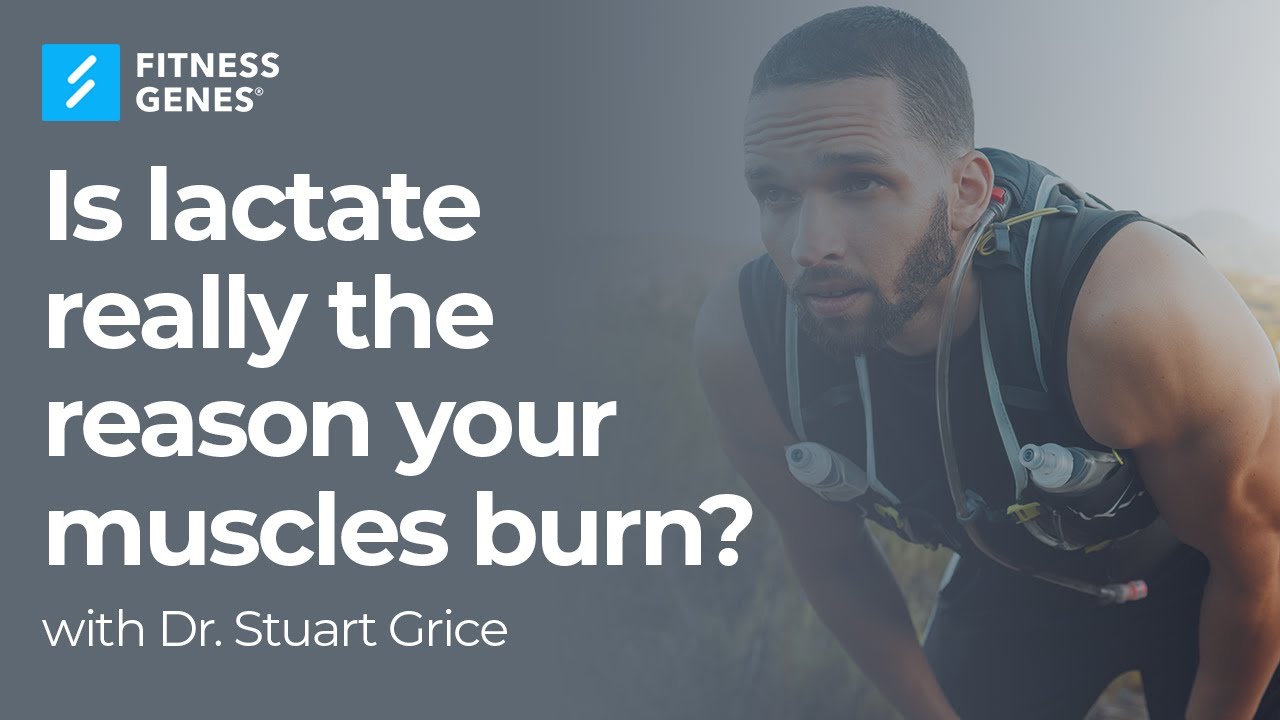 The Misconceptions About Lactate & How It Actually Benefits Performance ...