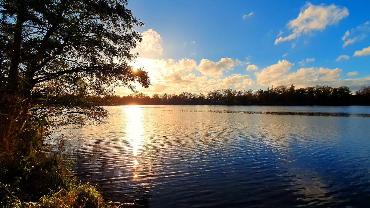 Neelix, Ghost Rider, The Gardener & The Tree Wonders (Vechtesee ...