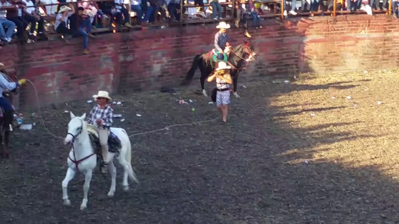 Jaripeo Atacheo Michoacan - YouTube