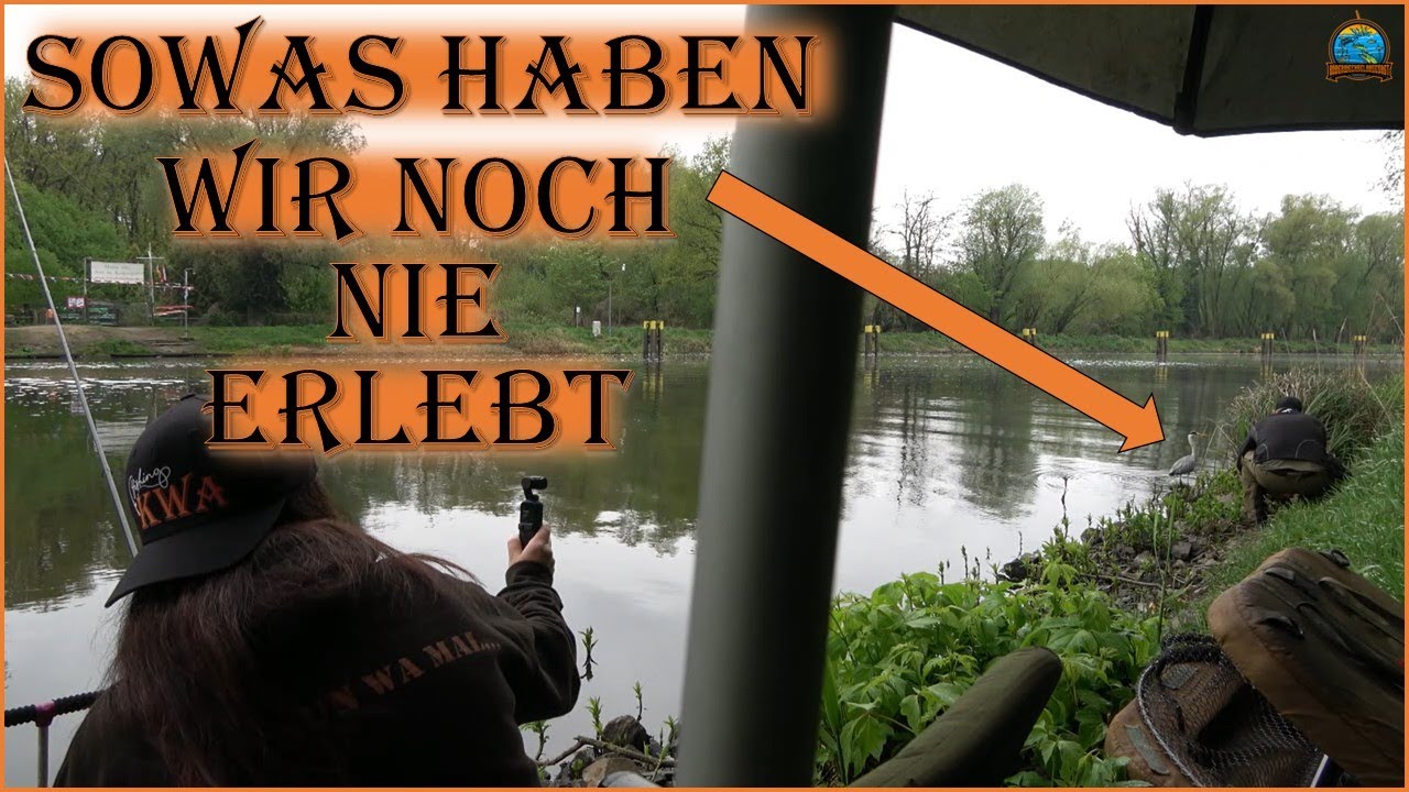 Sowas haben wir noch NIE erlebt!!! - YouTube