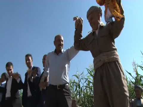 Kurdish Dance-Danza Kurda