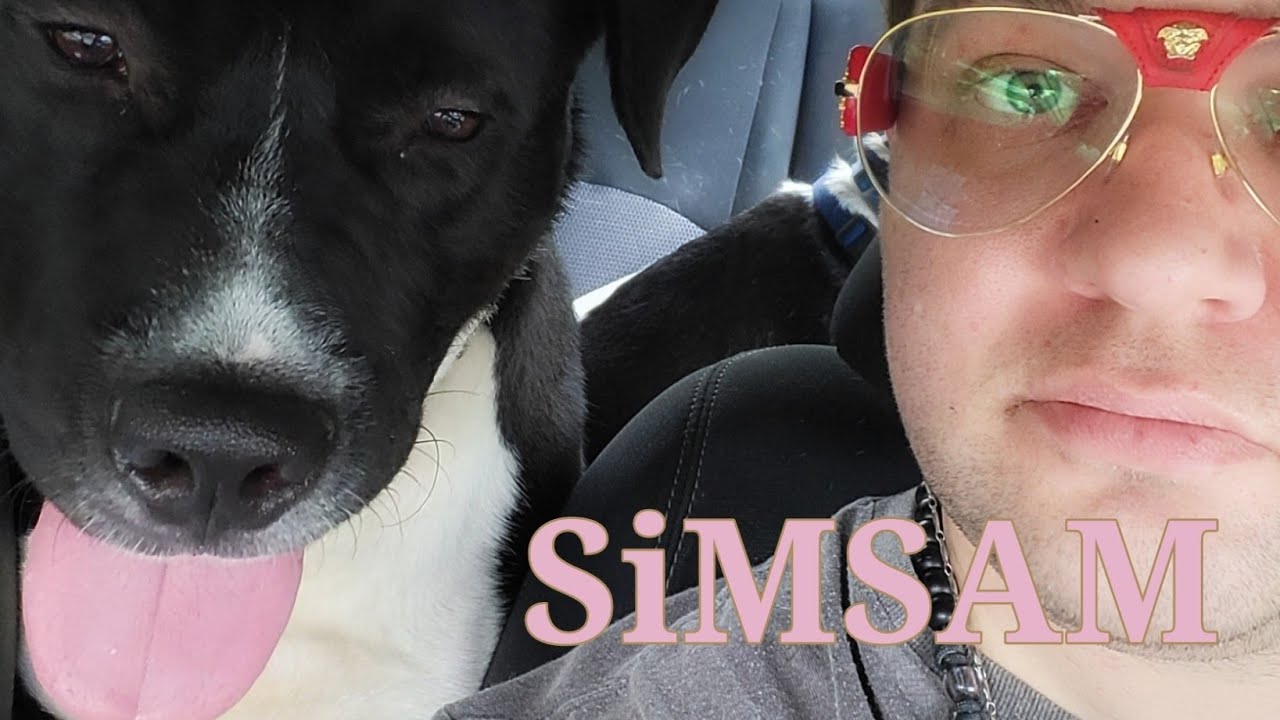 🌈 SiMSAM @ Stoplight 🚦 Holy 🎼 Music - YouTube