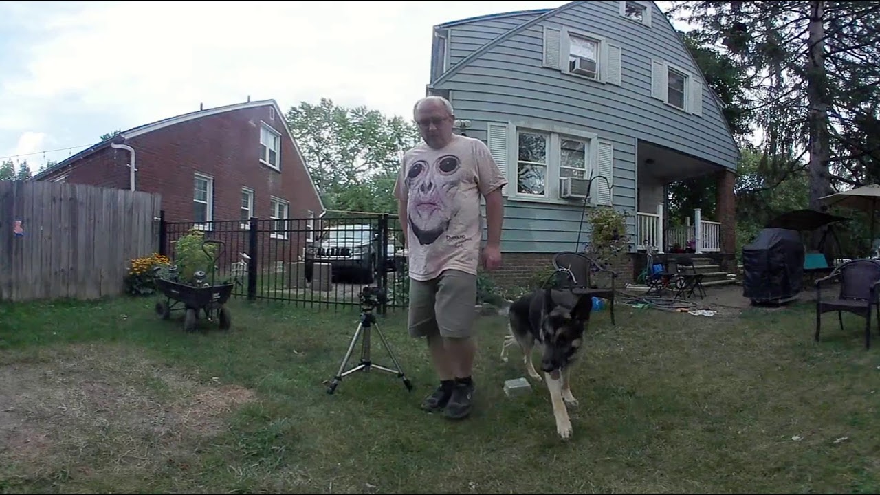 360 VR - Dog Training - YouTube