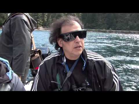 Cameron Lake Creature - YouTube