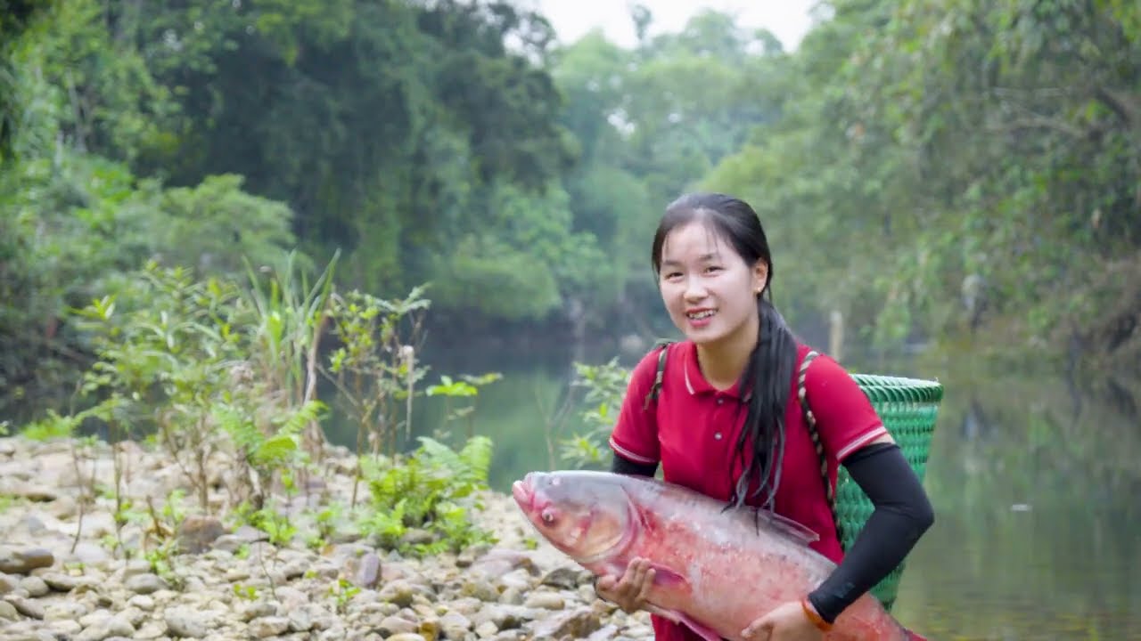 How to Catch 100kg of Fish, Trapping River Giants & Selling at the ...
