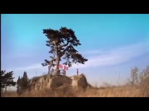 Dumb Child | Chinese Movie | 2016 |