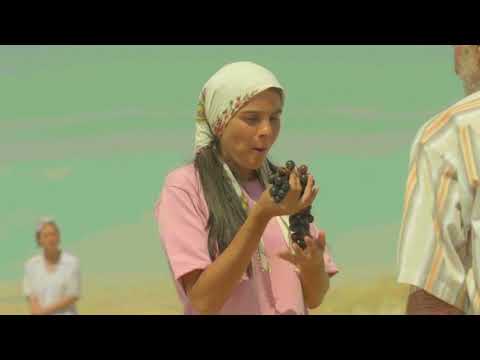 Umut Üzümleri Film Müziği