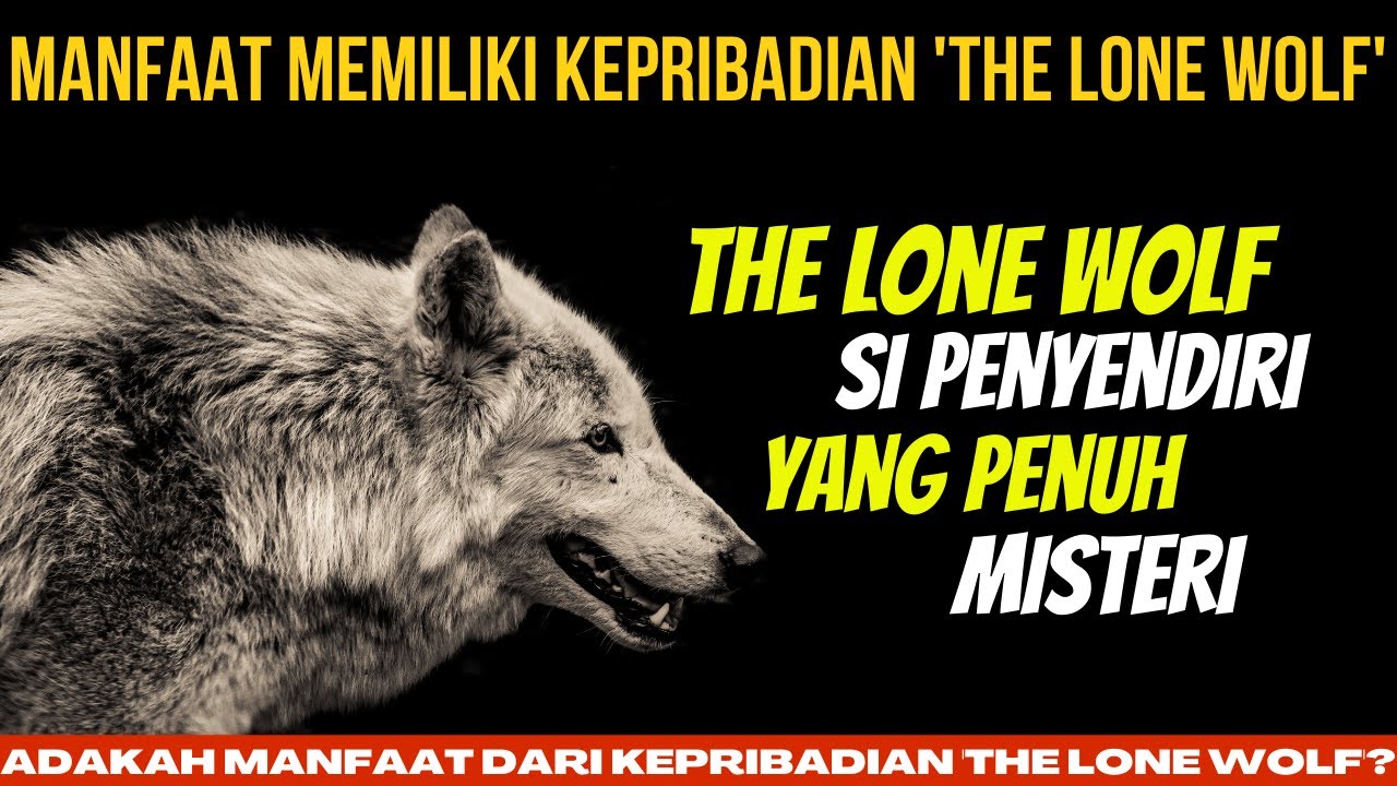 Salahkah menjadi seorang LONE WOLF? Manfaat memiliki kepribadian Lone Wolf - YouTube