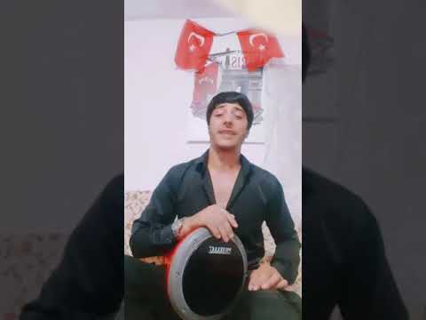 Sezer Vurmaz Sensin benim tesellim (Ferdi Tayfur Cover 2023)