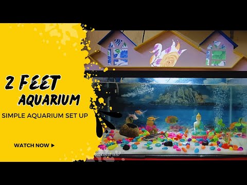Simple Aquarium Set up // aquarium // fish tank - YouTube