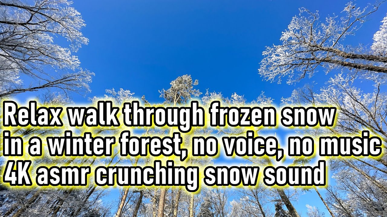 Relax walk through frozen snow in a winter forest, no voice, no music ...