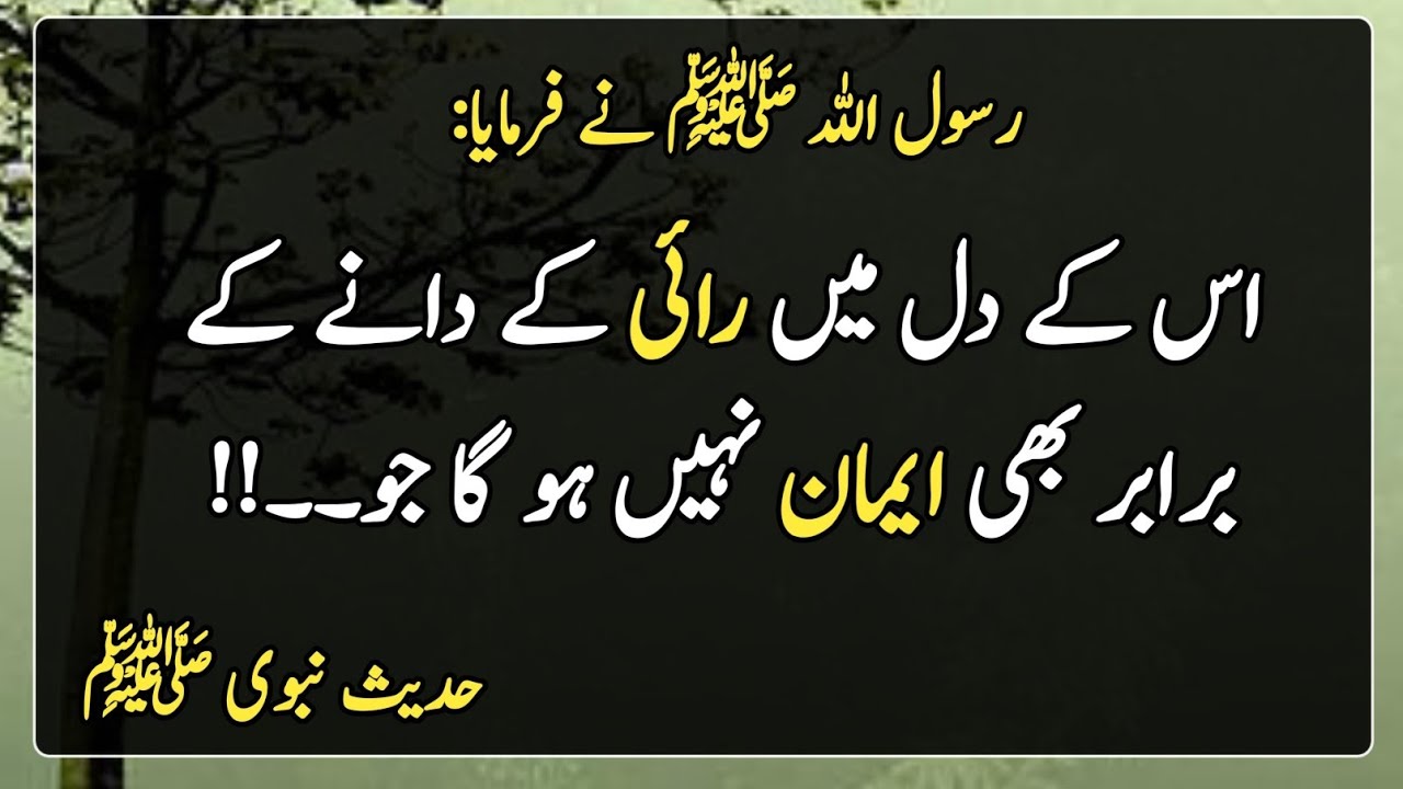 Hadith On Iman | Iman | Hardee's | اس کے دل میں رائی کے دانے کے برابر ...