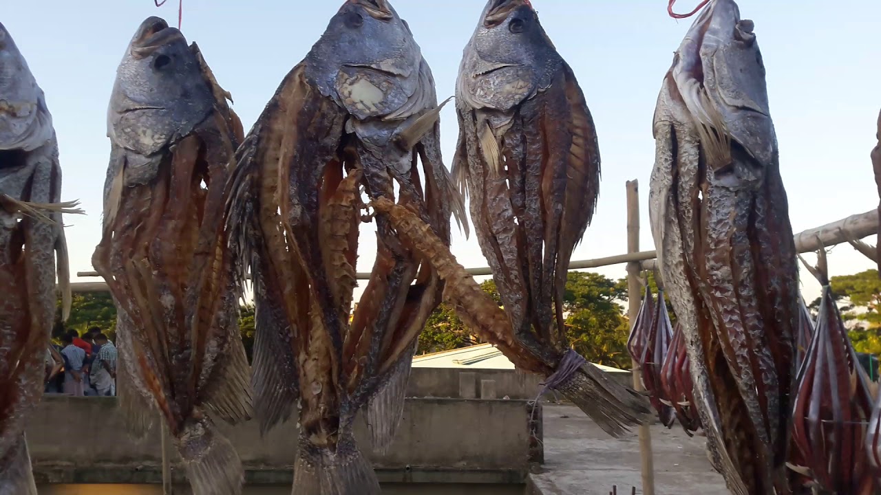 বিষমুক্ত সুরমা শুটকি রিভিও || Pesticide Free Surma Dry Fish - YouTube