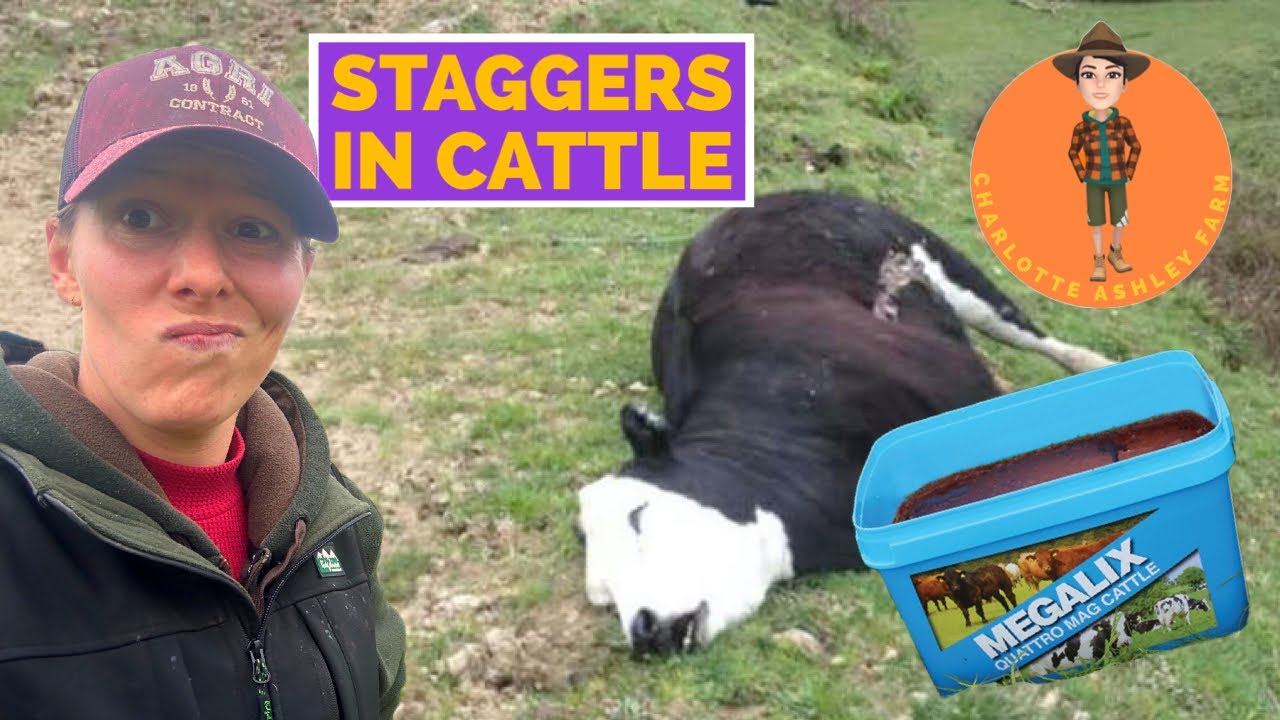 When staggers hits and what we do about it - YouTube