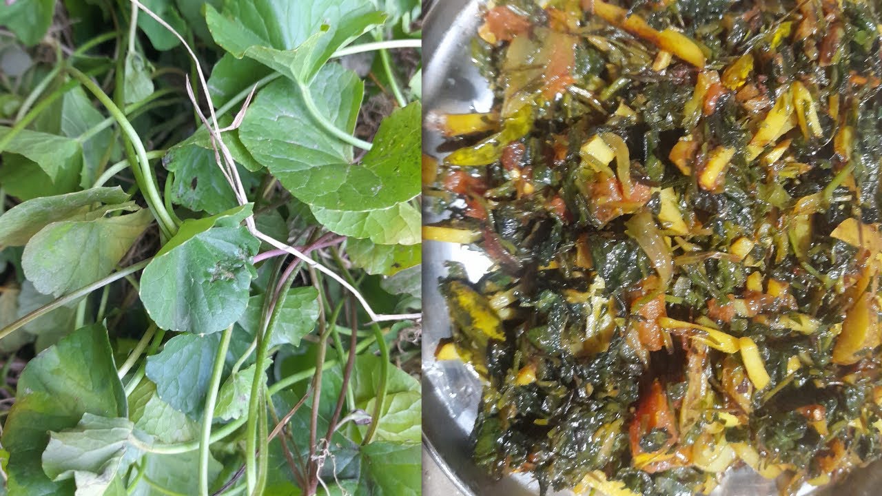 How To Make Spicy Thankuni shak recipe | (Thankuni) ব্যাঙ শাক রান্না ...