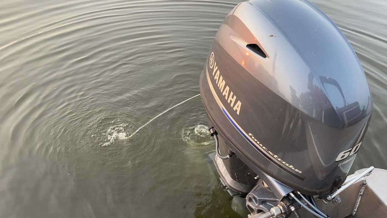 Yamaha 60 HP 4 Stroke Outboard Startup - YouTube