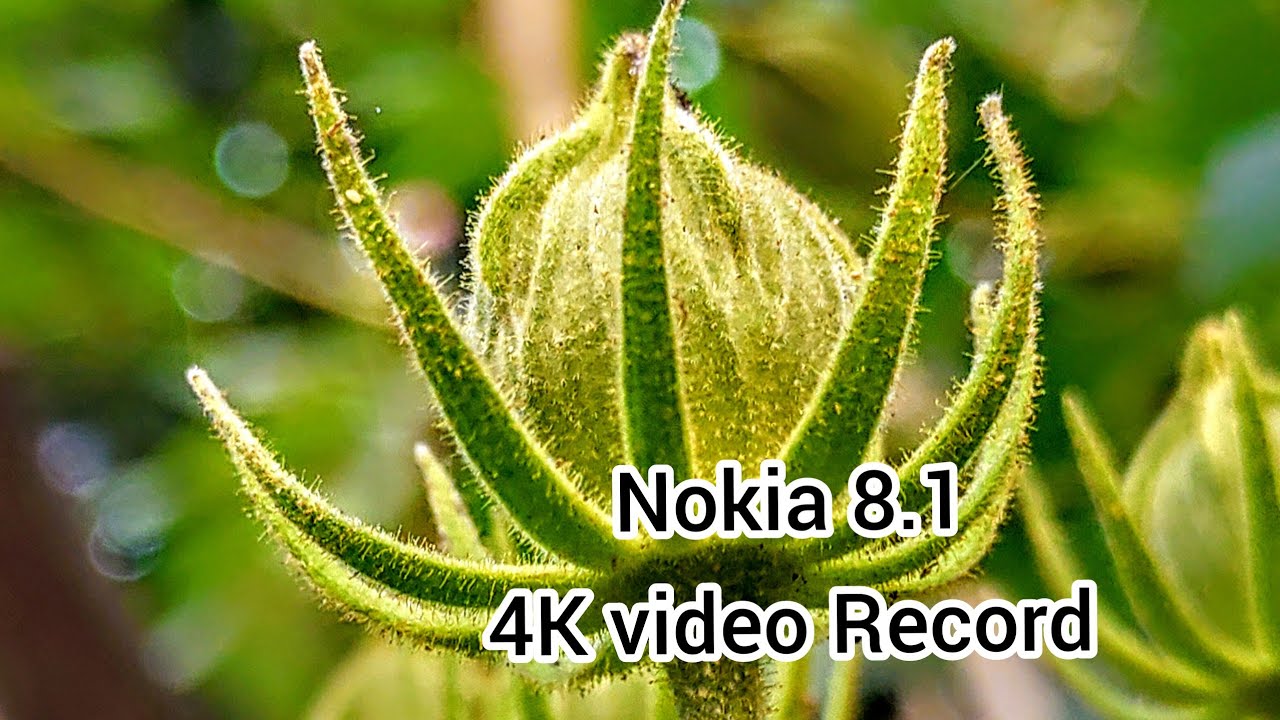 NOKIA 8.1 UHD 4K VIDEO record - YouTube