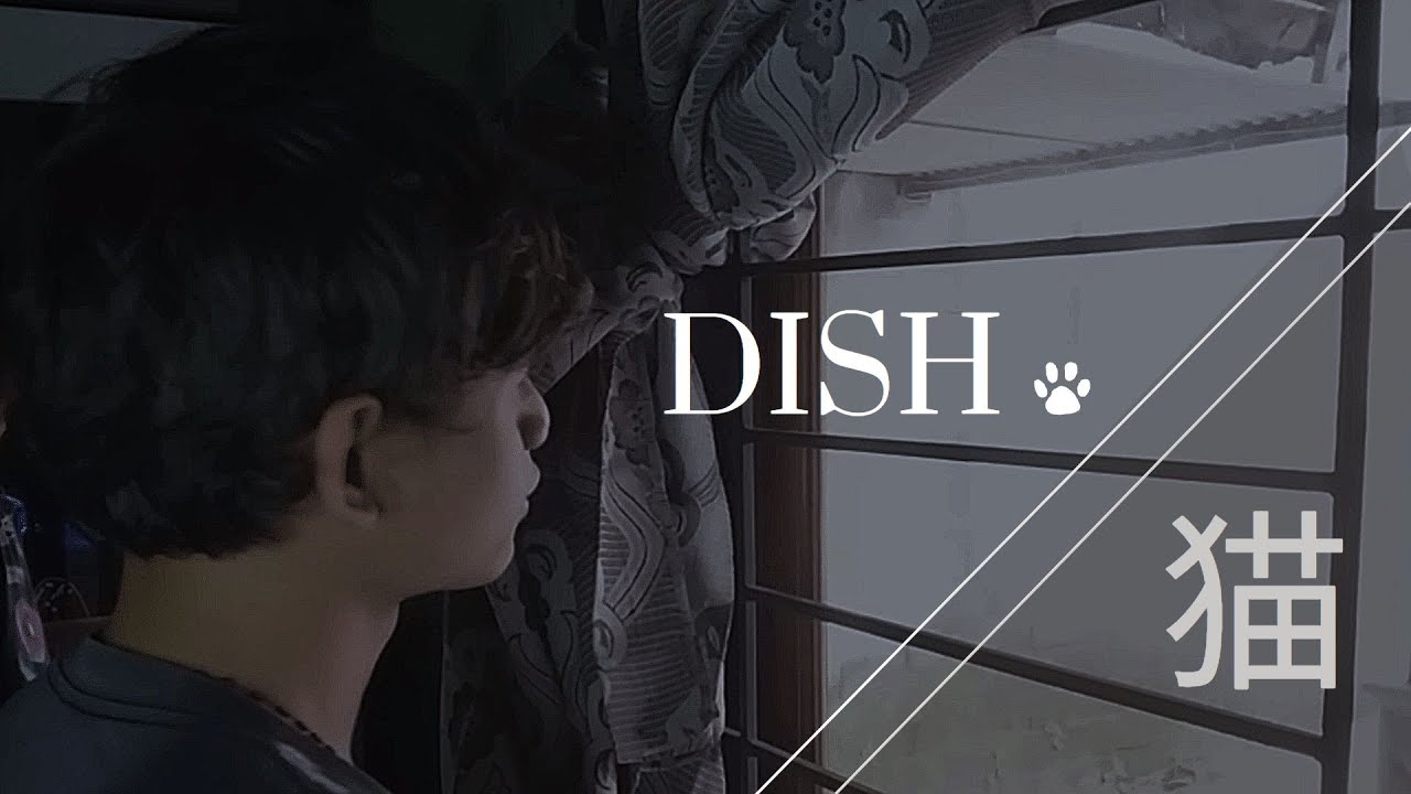 Dish // Neko 猫 (unofficial music video) - YouTube