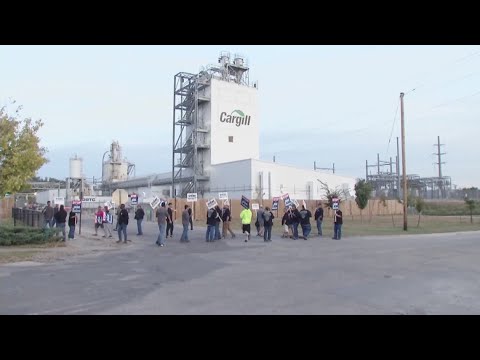 Cedar Rapids Cargill Teamsters hit the picket lines after company ...