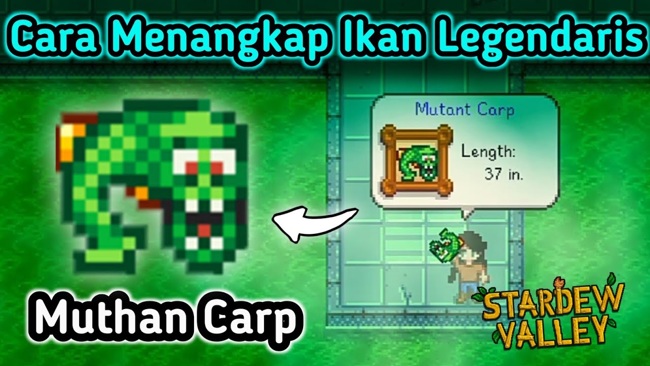 Cara Menangkap Ikan Legendaris ( Mutant Carp) Di Stardew Valley - YouTube