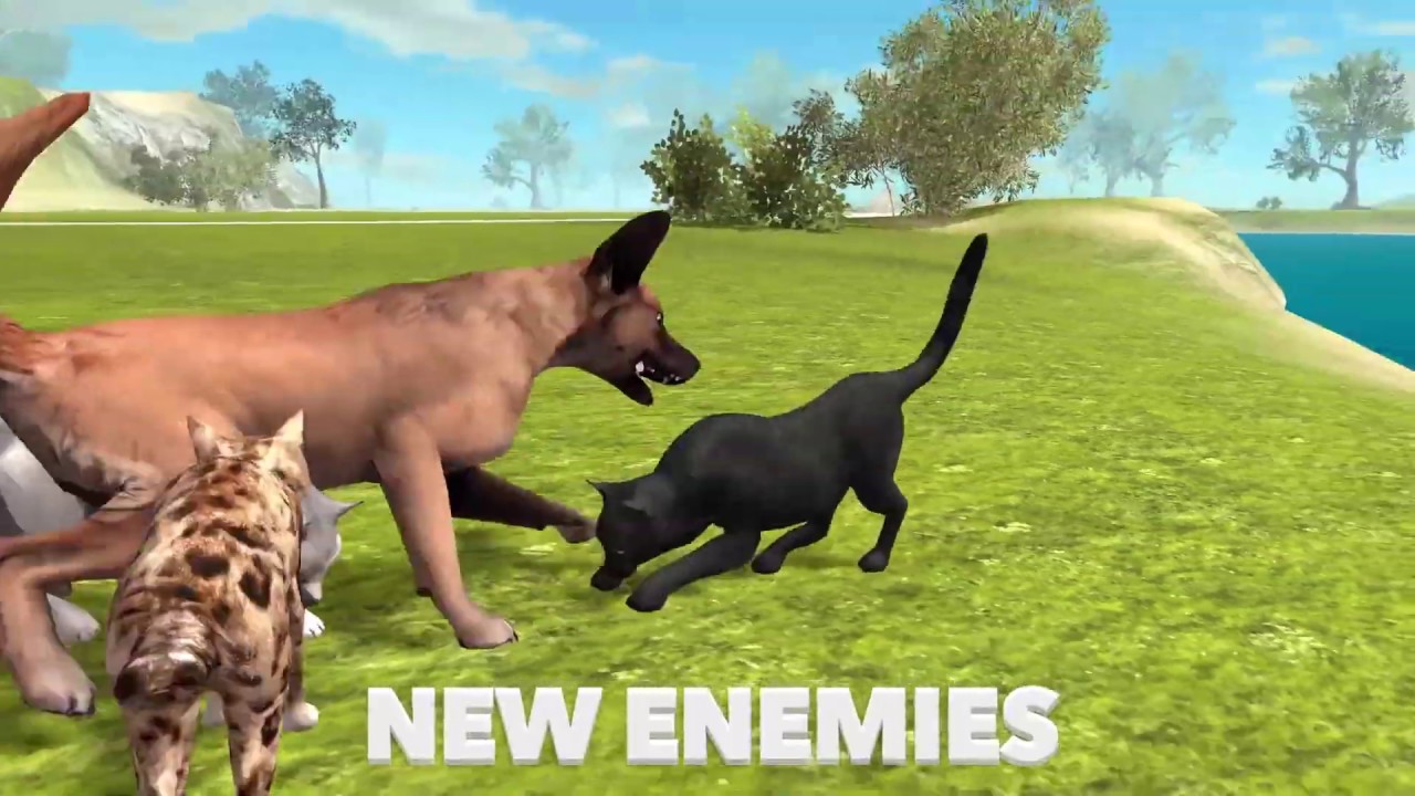 🐈Home And Street Cat Simulator, Ultimate Cat Simulator, By Gluten Free ...