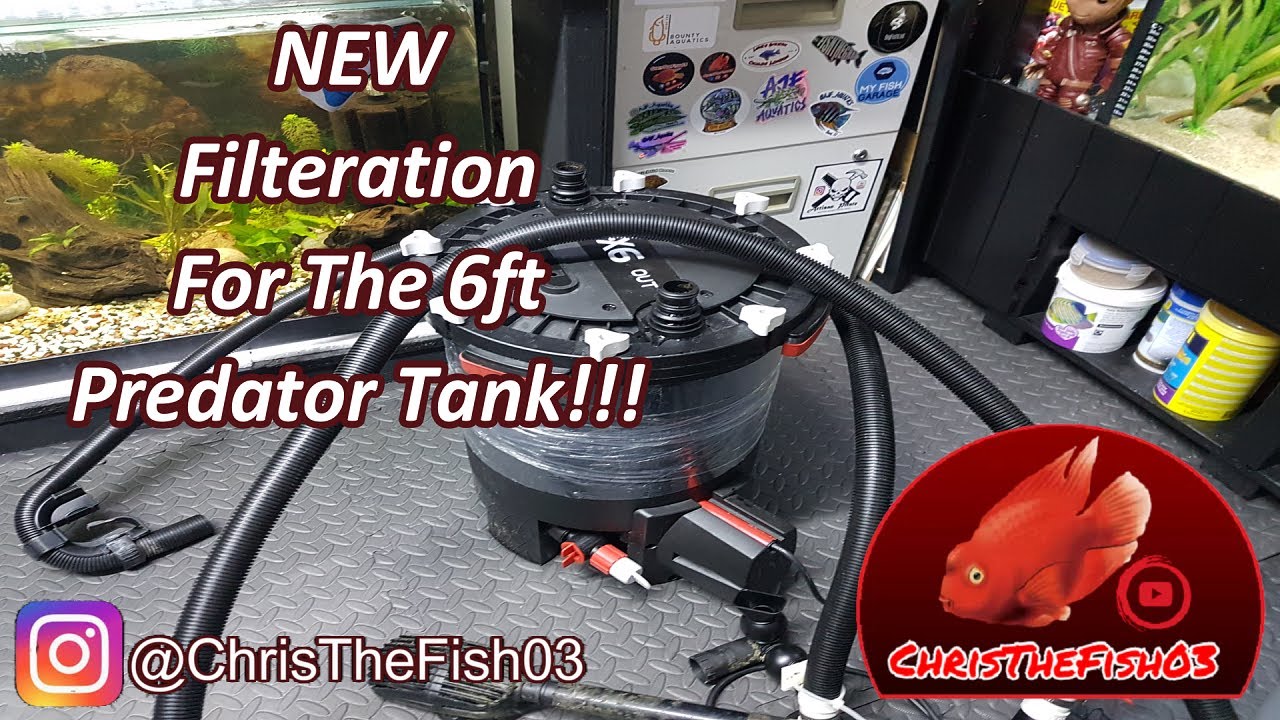 6ft Fish Tank Gets A New Fx6 Filter!!! - YouTube
