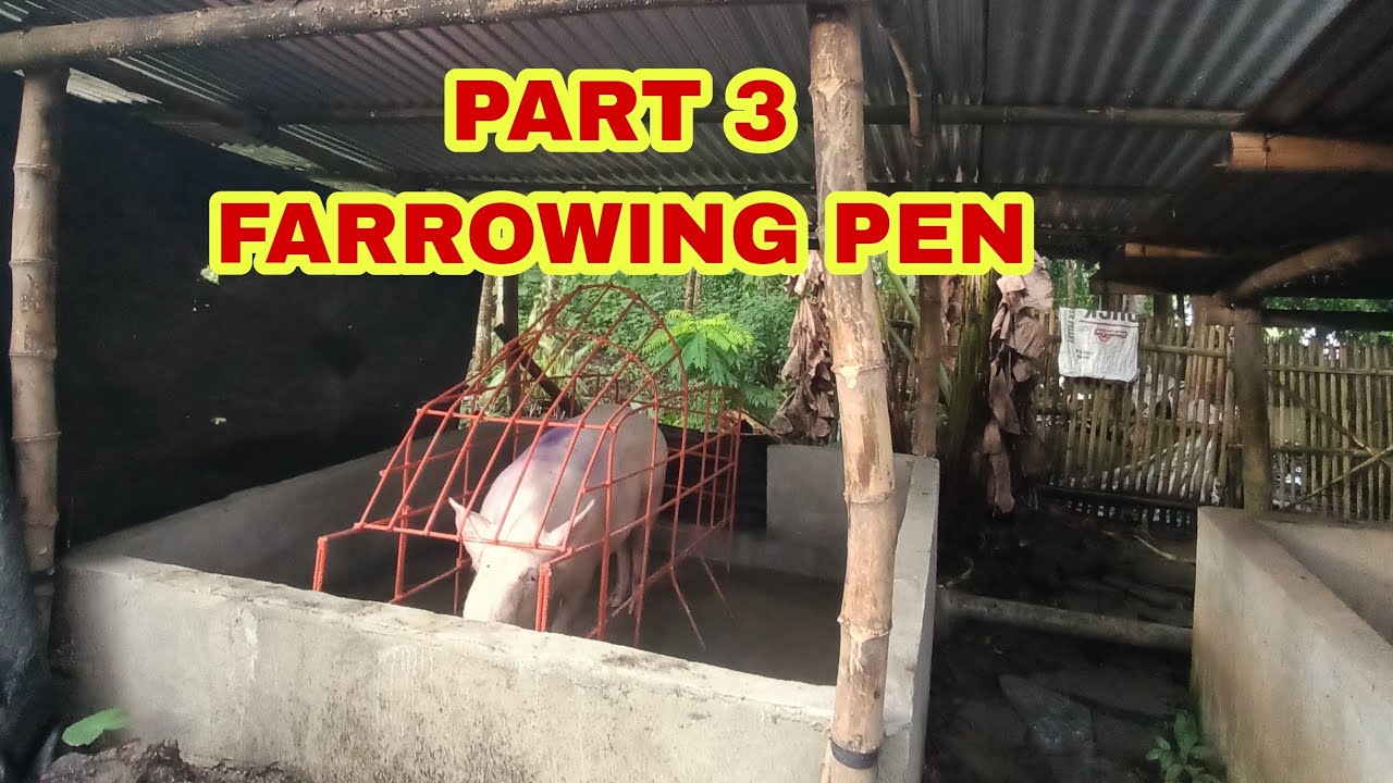 PART 3 PAANO GUMAWA KULUNGAN NANG INAHING BABOY/FARROWING PEN - YouTube